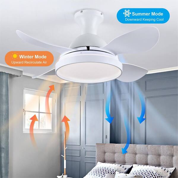 Fans For Bedroom HK Ceiling Fan With Light And Remote,20 Inch, 5 Speeds ...
