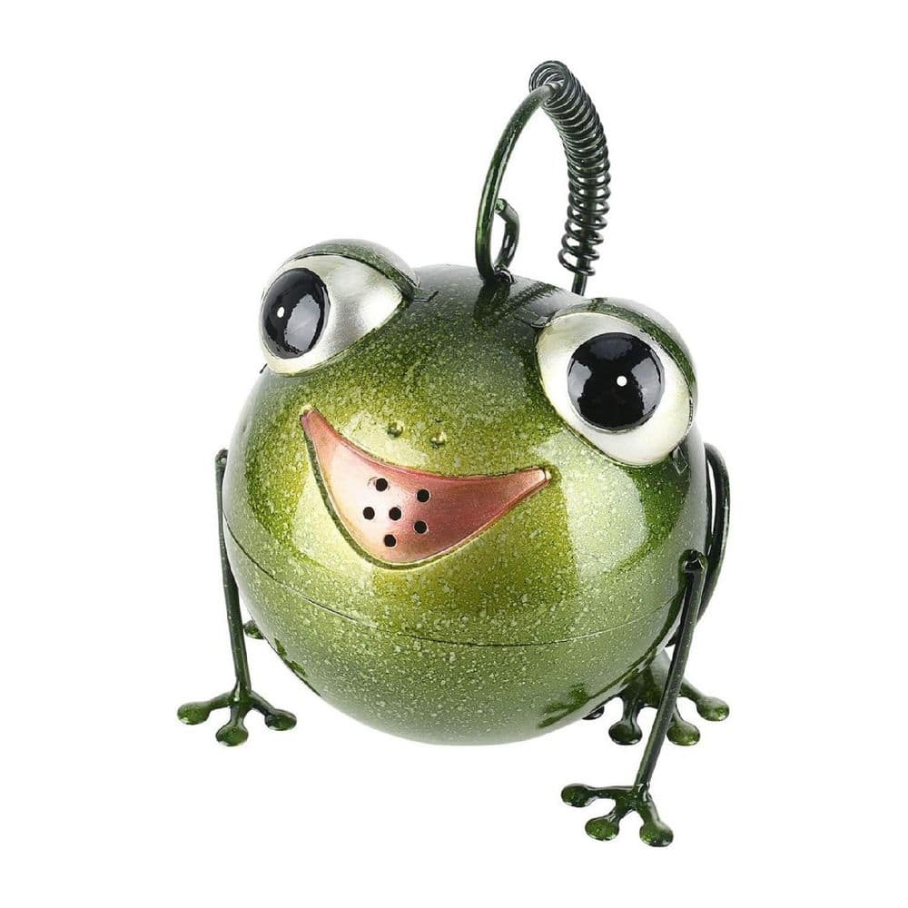 1 gal. Green Iron Frog Watering Can for Outdoor HP8ZCG4S9S - The Home Depot