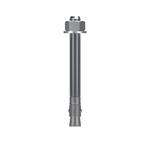Simpson Strong-Tie PAB 5/8 in. x 18 in. Preassembled Anchor Bolt with ...