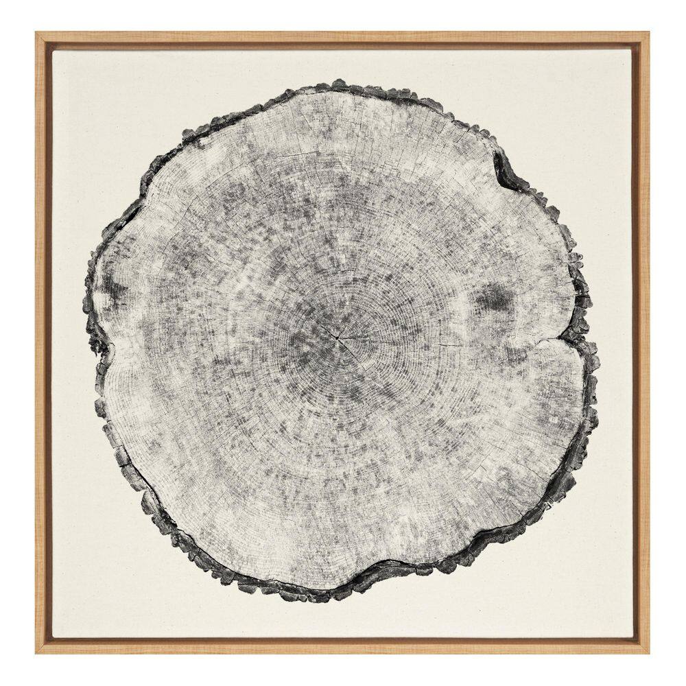 Kate and Laurel Tree Rings Linen by F2Images Framed Nature Canvas Wall ...