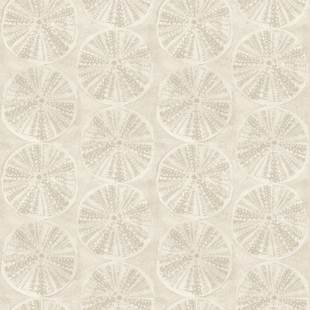 Chesapeake Sea Biscuit Beige Sand Dollar Matte Paper Pre-Pasted Wallpaper Sample 4071-71027SAM ...