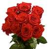 Globalrose Fresh Red Roses Best of The Best (125 Extra Long Stems ...