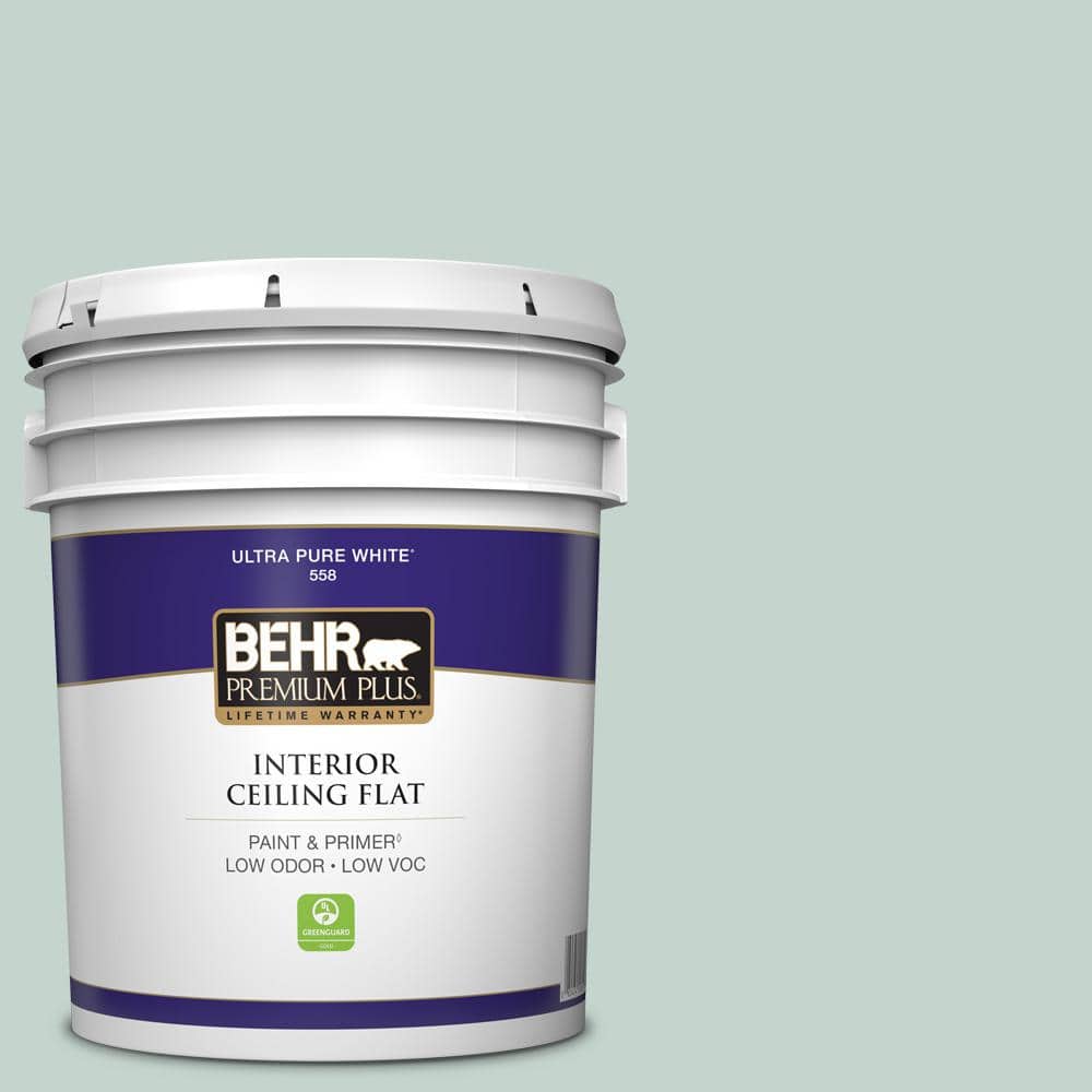 BEHR PREMIUM PLUS 5 gal. #N430-2 Natures Reflection Ceiling Flat ...