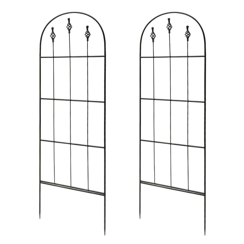YIYIBYUS 48 in. Black Steel Garden Climbing Plants Support Structures ...