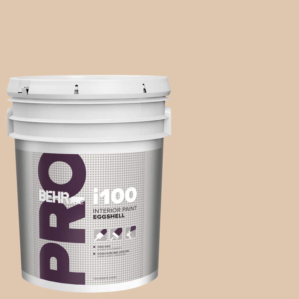 BEHR PRO 5 gal. #N260-2 Almond Latte Eggshell Interior Paint PR13005 ...