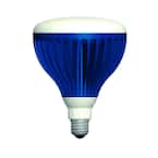 Aqua Brite 22-Watt Pure White 120-Volt LED Pool Light Bulb ABPW120 ...