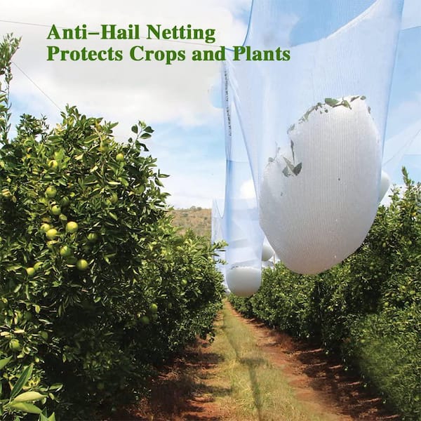 Agfabric Hail Netting 20 ft. x 20 ft., Bird Netting Protect Fruits and ...