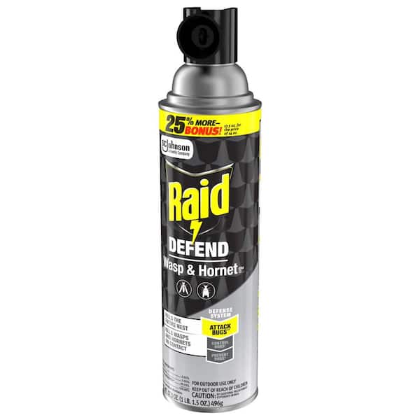 Raid Wasp and Hornet Killer, Stinging Bug Insecticide for Outdoor Use ...