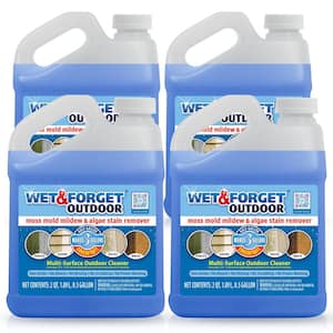 Wet and Forget 48 oz. Outdoor Moss Mold Mildew and Algae Stain Remover ...