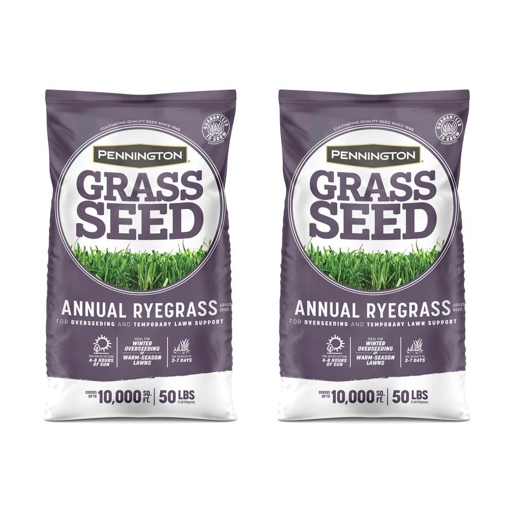 Pennington 50 lbs. Annual Ryegrass Grass Seed (2-Pack) 100551237 - The ...