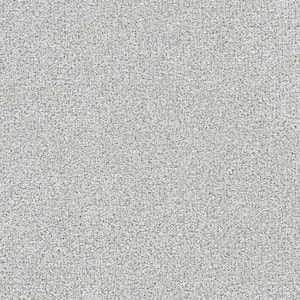 Lifeproof 8 in. x 8 in. Texture Carpet Sample - Evermore III - Color ...