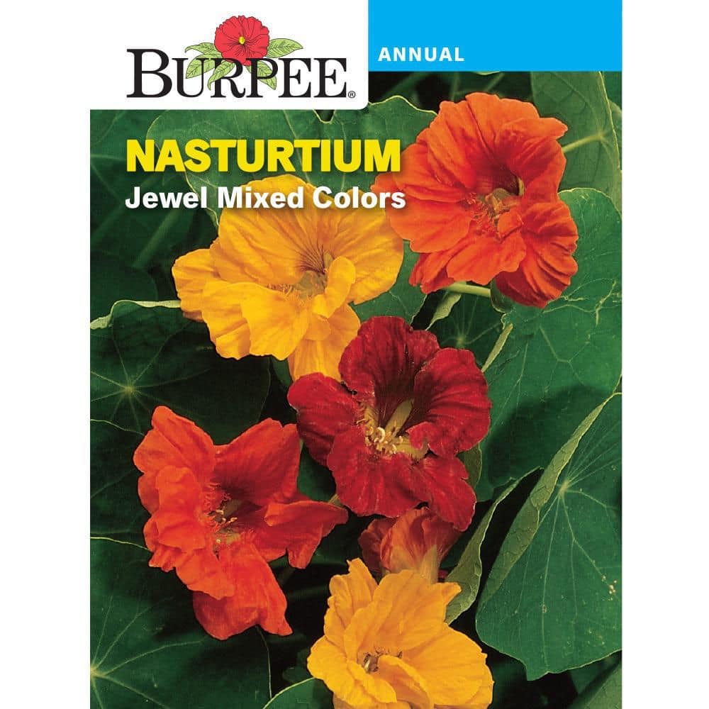 Burpee Nasturtium Jewel Mixed Colors Seed 44133 - The Home Depot