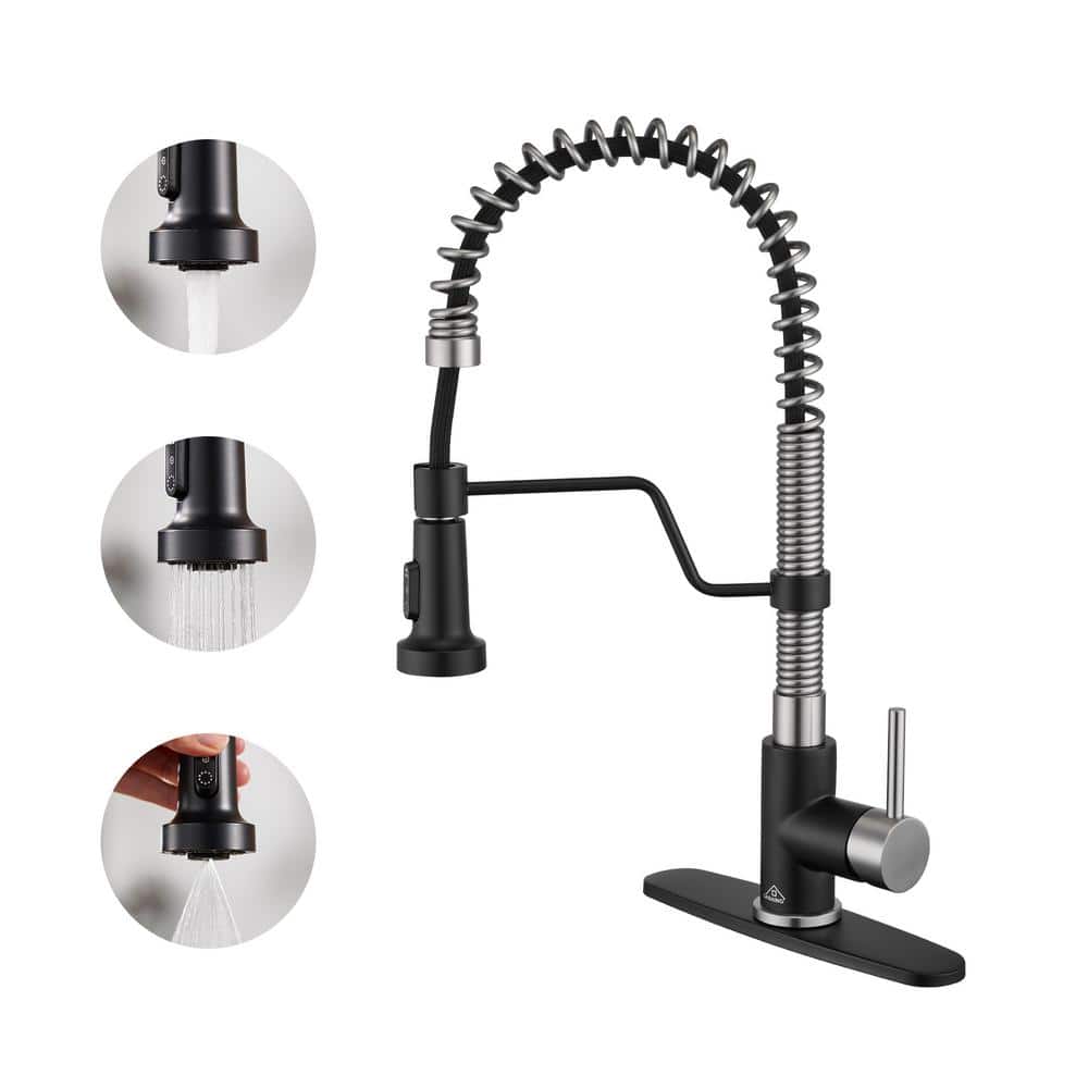 CASAINC Single-Handle Pull-Down Sprayer Kitchen Faucet with 3-Function ...