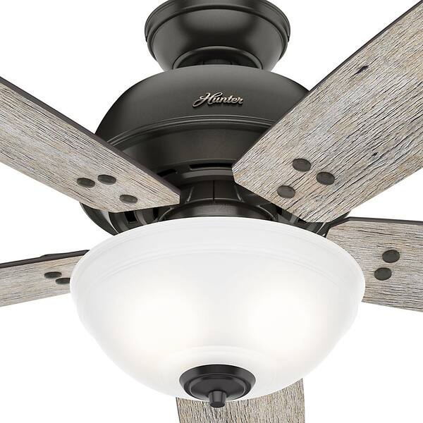 Hunter Ceiling Fan With Schoolhouse Globe | Shelly Lighting