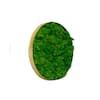 Afoxsos Delicate Iron Metal Frame Green Round Framed Moss Wall Decor ...
