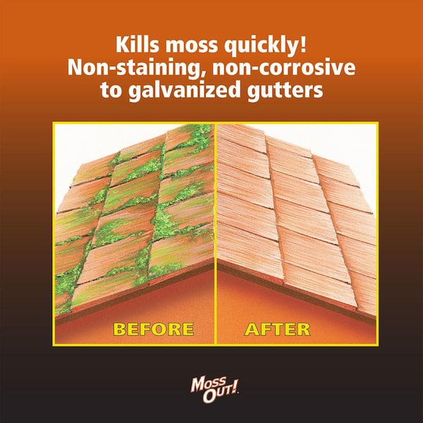 Moss Out! 54 oz. 1,000 sq. ft. Roof and Walkway Moss Killer Concentrate ...