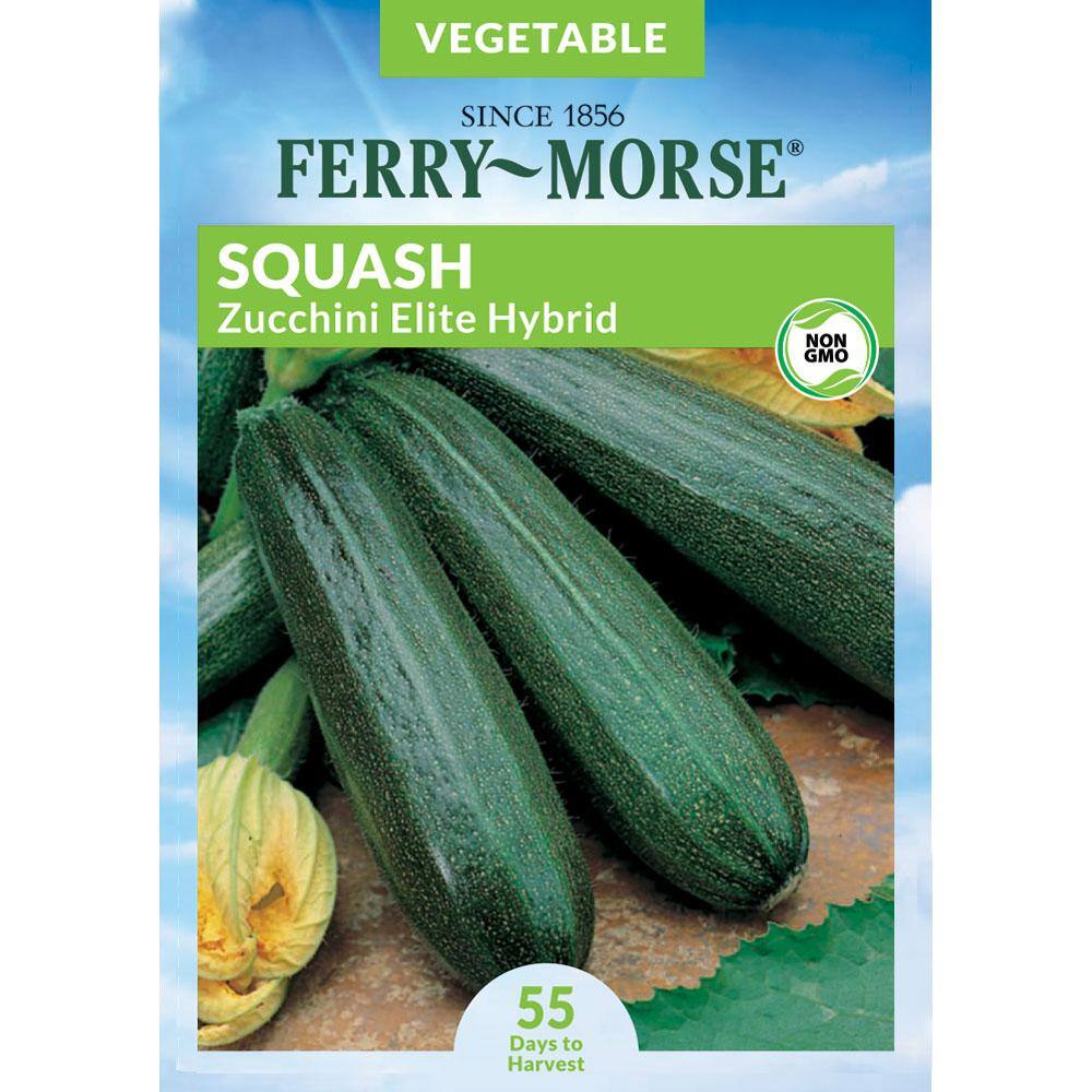 Ferry-Morse Squash Zucchini Elite Fruit Seed 4087 - The Home Depot