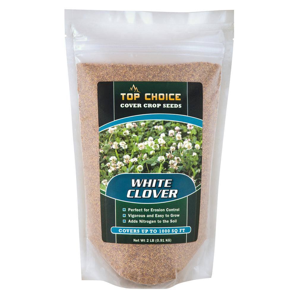 TOP CHOICE 2 lb White Clover 100456 - The Home Depot