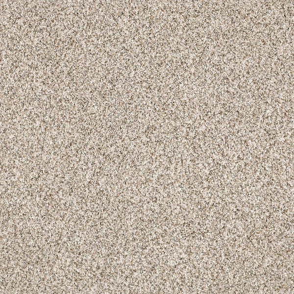 Lifeproof 8 in. x 8 in. Texture Carpet Sample - Madeline II - Color ...