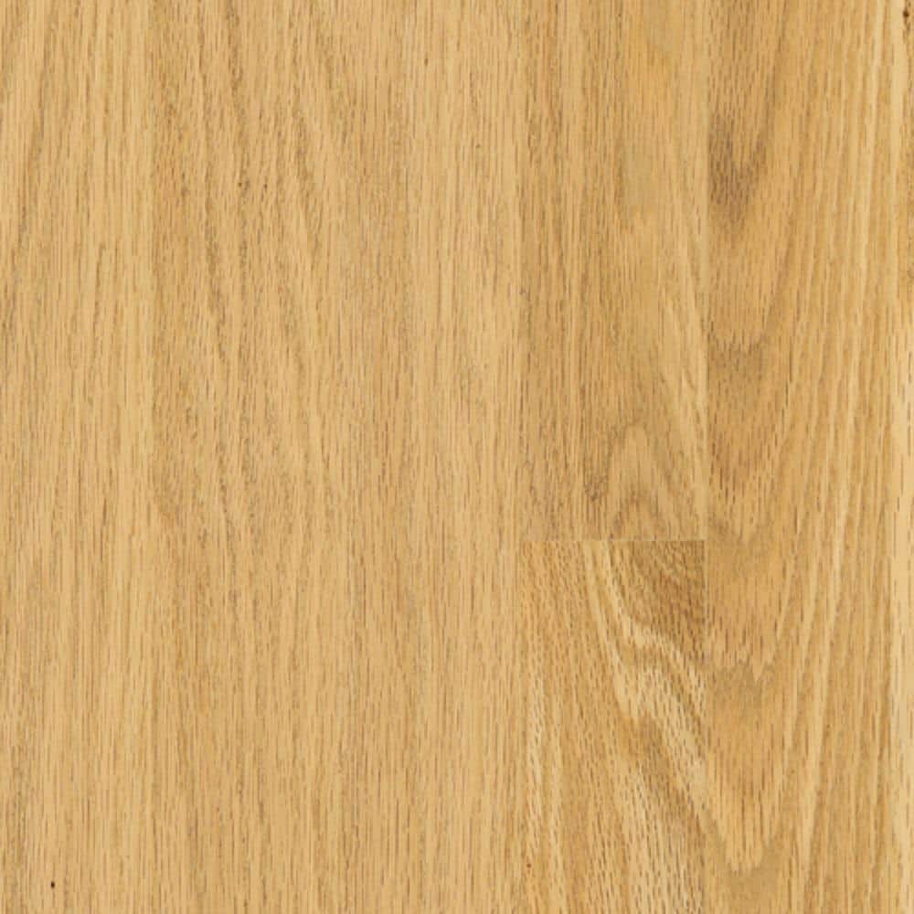 Blue Ridge Unfinished Red Oak Select 3/4 in. T X 3-1/4 in. W Smooth ...