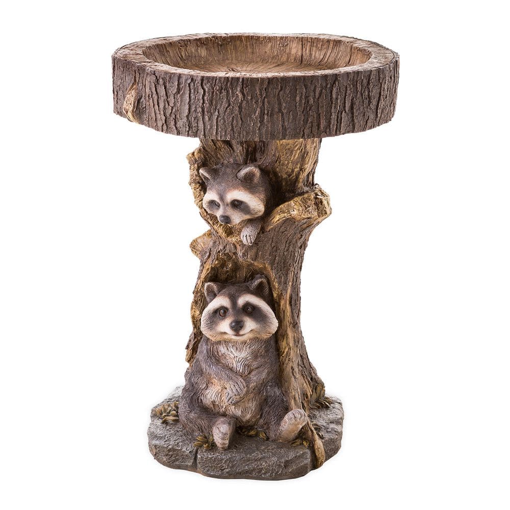 Evergreen Enterprises 28 in. Resin Raccoon Bird Bath 59W97 - The Home Depot