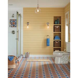 Glacier Bay 10 in. Rough-in 2-Piece 1.28 GPF High Efficiency Single ...