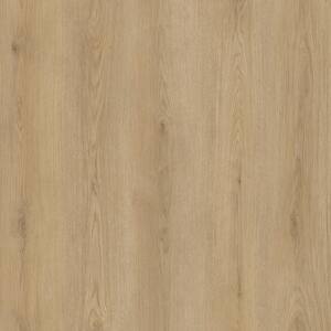 Dekorman Take Home Sample-Payson Grey Oak 12 MIL Water Resistant Glue ...