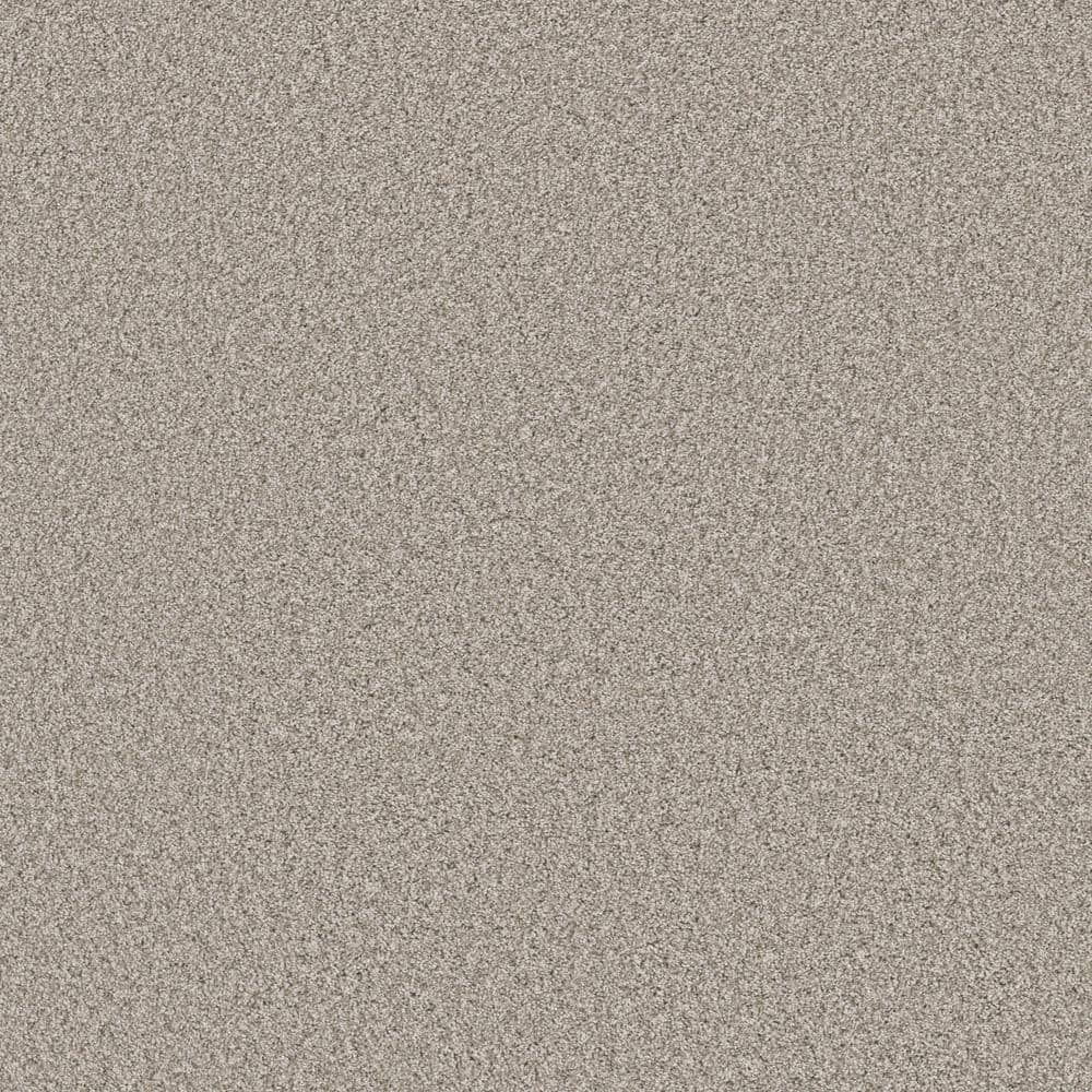 Home Decorators Collection 8 in. x 8 in. Texture Carpet Sample - Piece ...