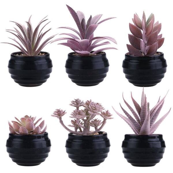 6-Pieces 4.4 in. Purple Artificial Succulent Plants in Mini Black ...