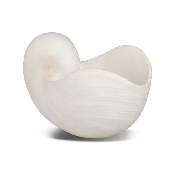 White Irregular Resin 12 in. Sea Shell Decorative Bowl HDCJ5HPNJV - The ...