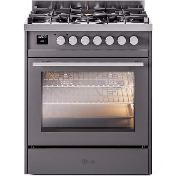 Professional Plus II 30 in. 5 Burner Freestanding Dual Fuel Range in ...