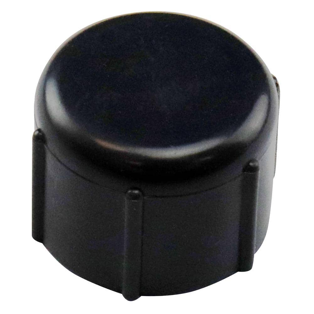 Vigoro 1/2 in. FPT x 0.8 in. PVC Cap Fitting PVC80CAP12 - The Home Depot