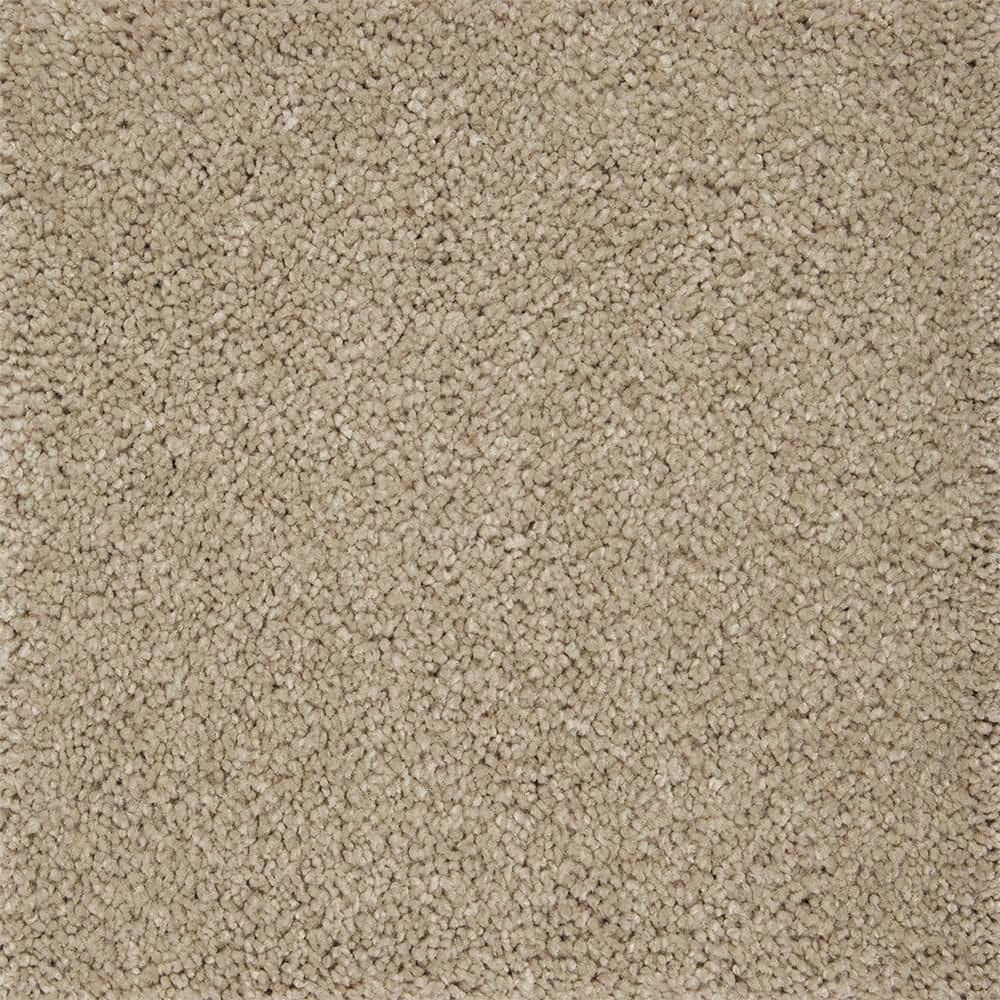Mohawk 8 in. x 8 in. Texture Carpet Sample - Appreciate I - Color ...