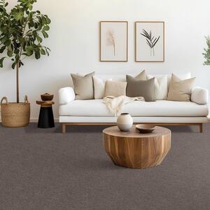 Stone - Carpet - The Home Depot