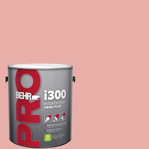 BEHR PRO 1 gal. #160C-3 Rose Silk Low Luster Exterior Paint PR62001 ...