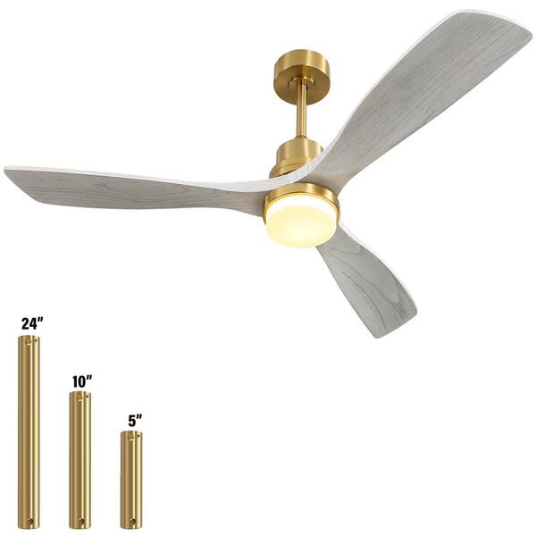 CACI Mall 52 in. Indoor/Outdoor Gold Ceiling Fan Integrated LED with ...
