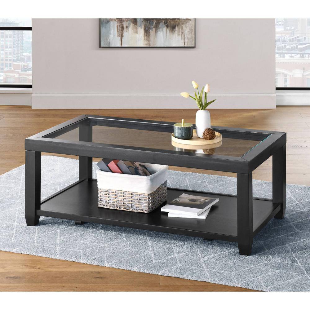 HomeRoots Amelia 48 in. Black Rectangle Glass Coffee Table with Shelves 2000517699 - The Home Depot
