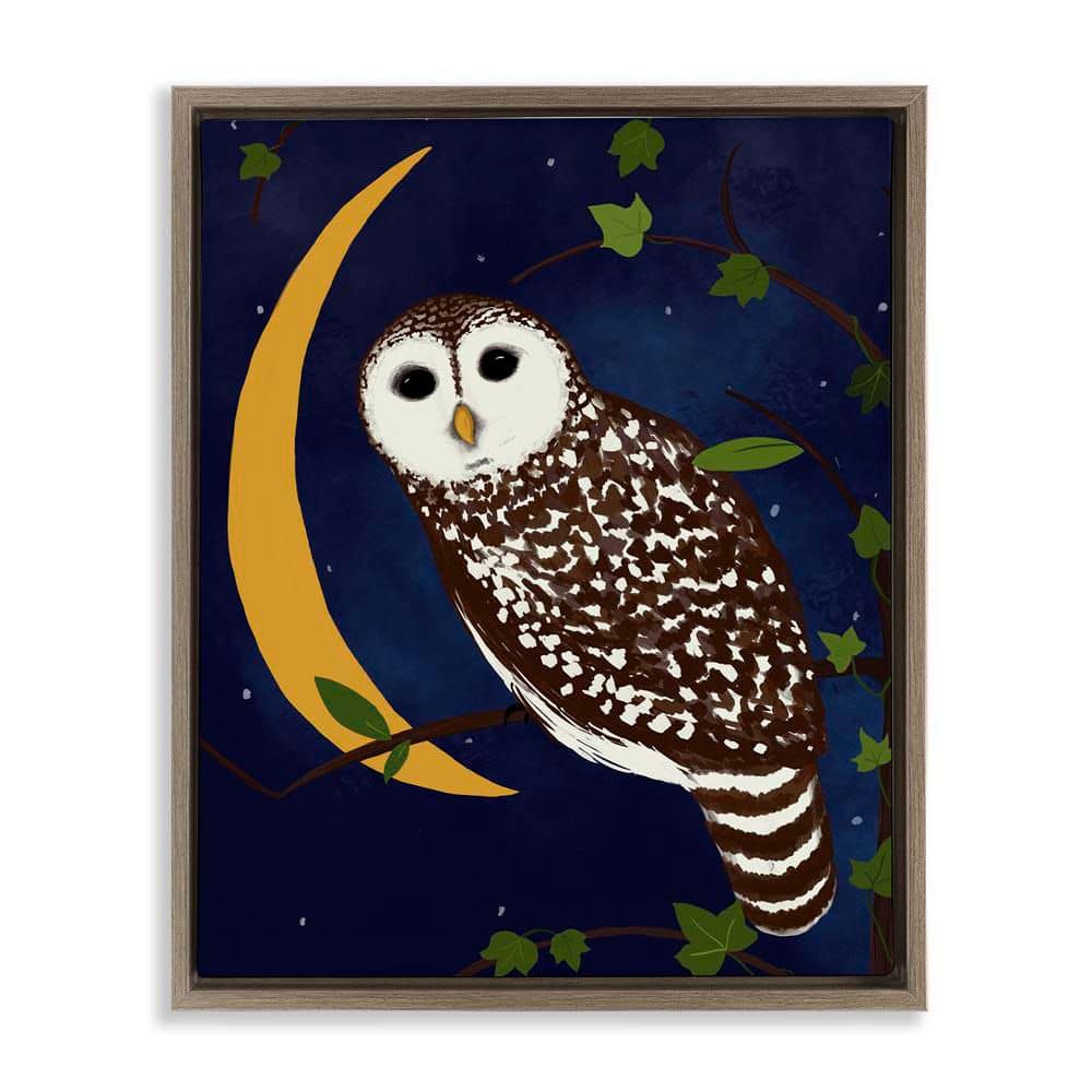 Stupell Industries Owl and Moon Forest by Michelle Ingari Designs Brown ...