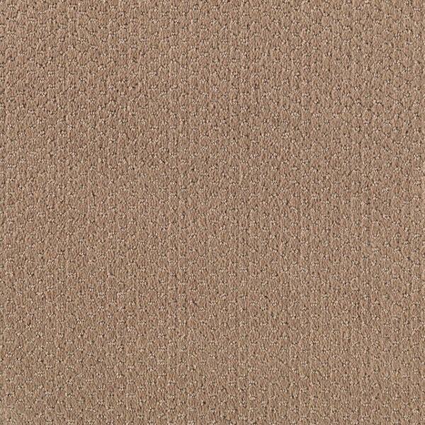 Home Decorators Collection Shoot Out - Color Craft Paper Pattern 12 ft ...