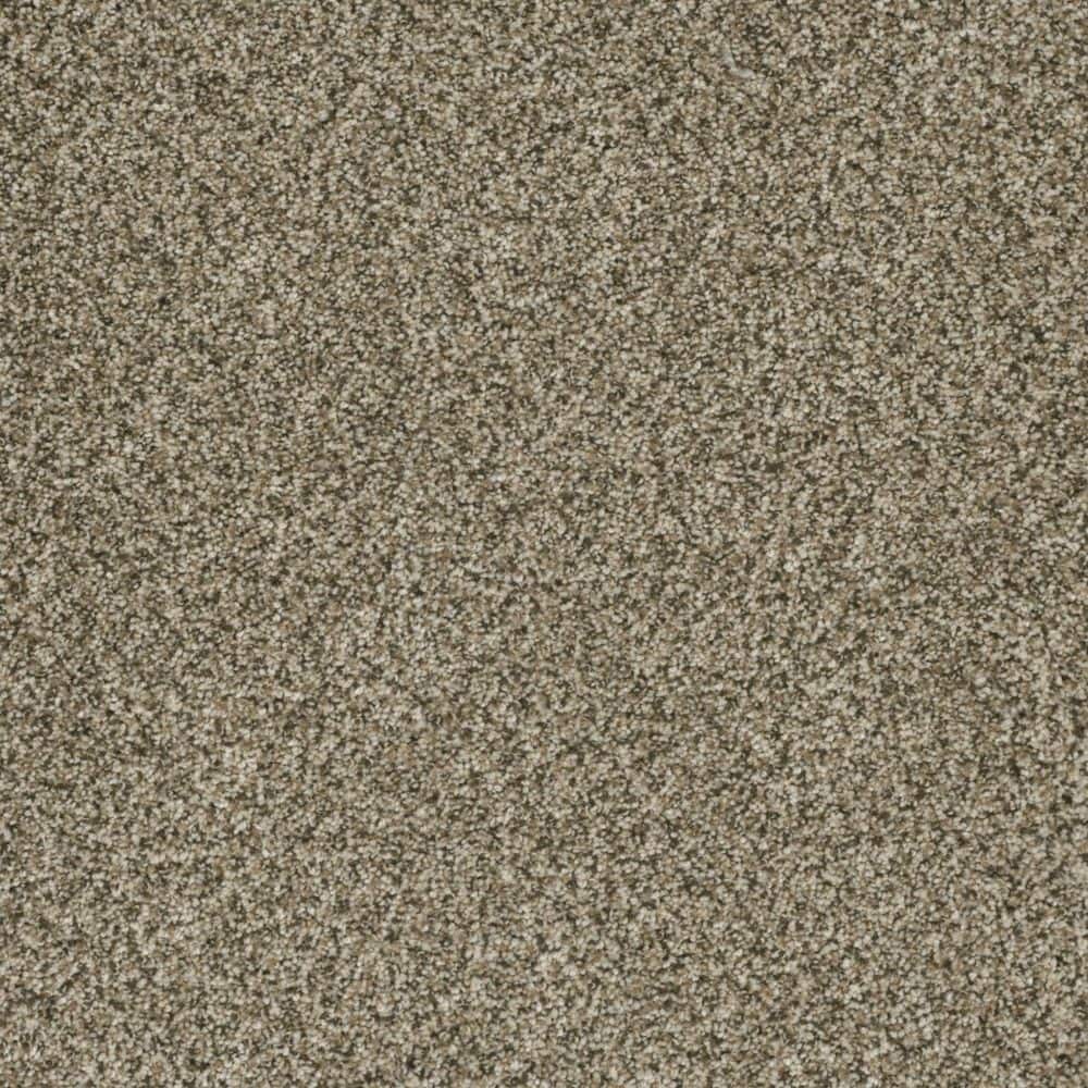 Home Decorators Collection Trestle II-Gateway Beige-60 oz. SD Polyester ...