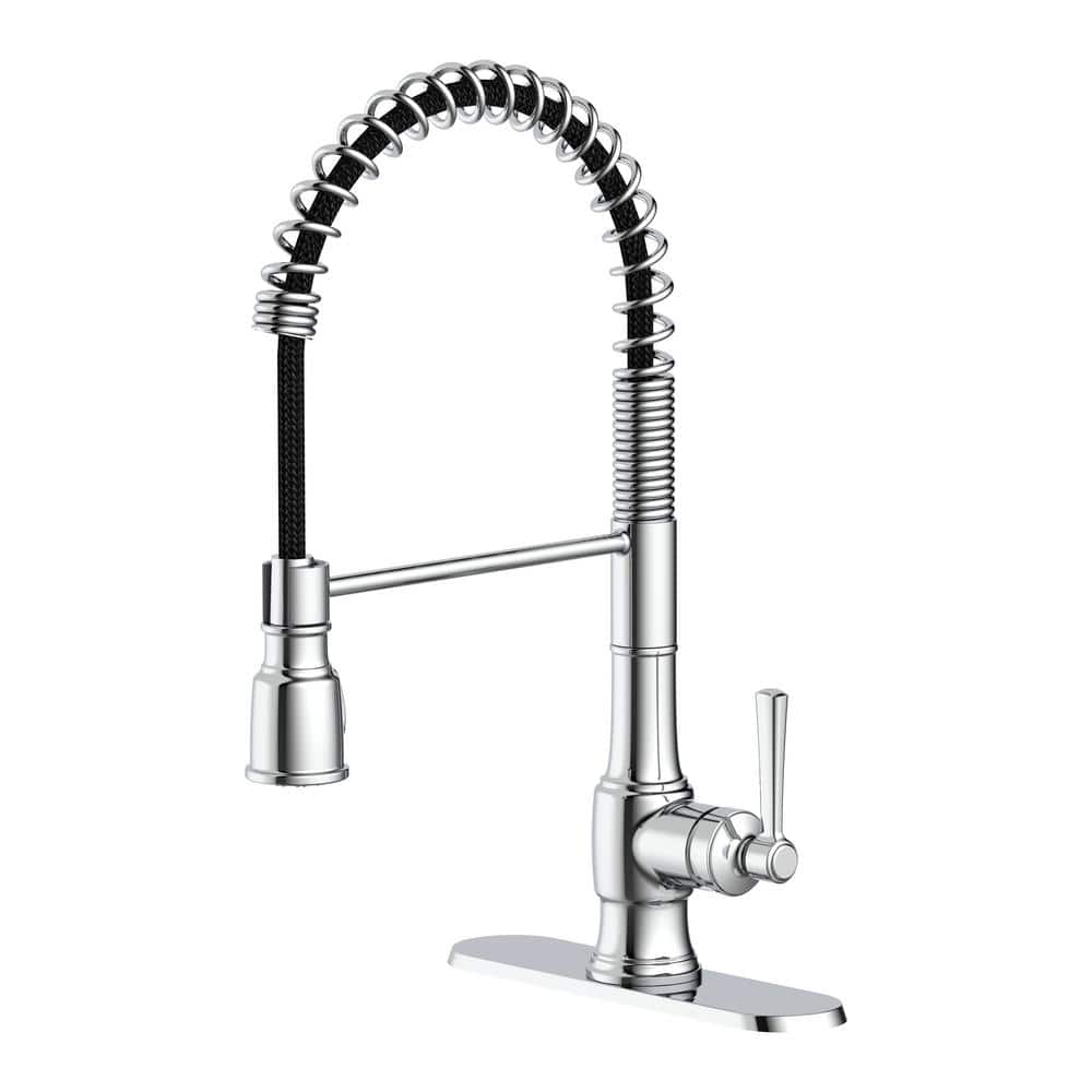 Glacier Bay Hoyt Spring-Neck Single Handle Pull-Down Sprayer Kitchen ...