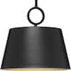 Progress Lighting Parkhurst Collection 12.37 in. 1-Light Matte Black ...