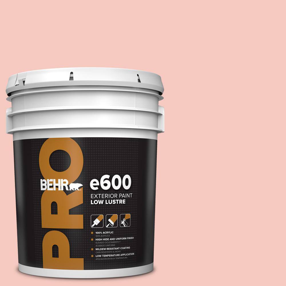 BEHR PRO 5 gal. #180C-2 Sandblast Low Luster Exterior Paint PR62005 ...