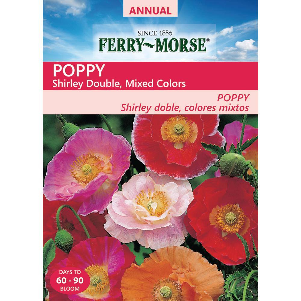 Ferry-Morse Flower Poppy Shirley Double Mixed Colors Seed 6334 - The ...