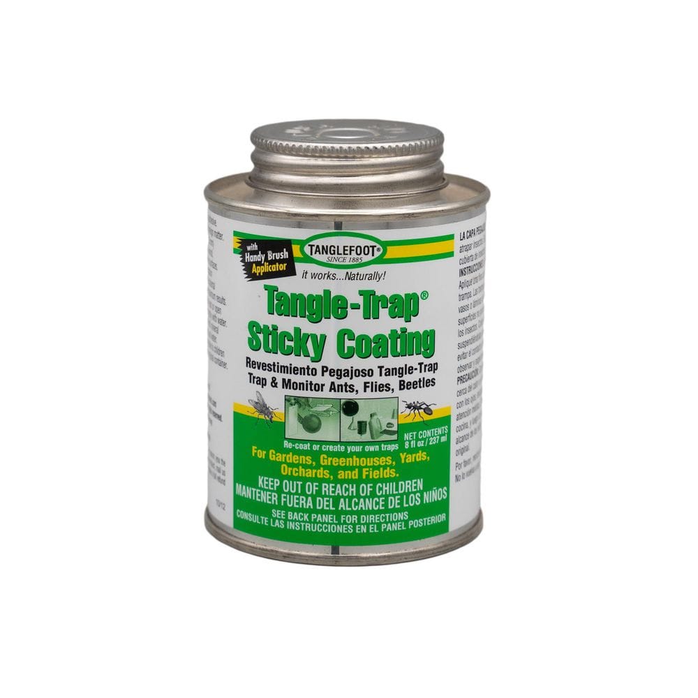 Tanglefoot Tangle-Trap Sticky Coating 8 oz. Brush-Top-Trap and Monitor ...