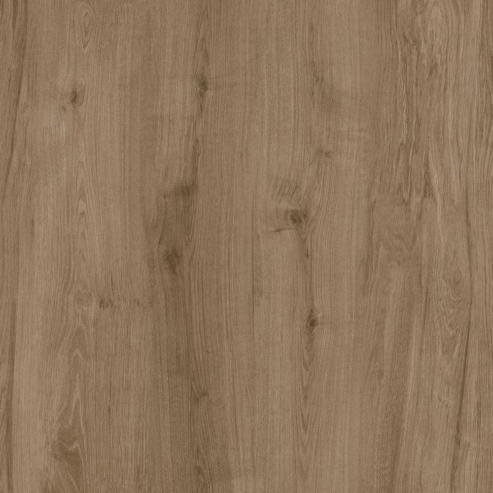 Lifeproof Take Home Sample - Eastborough Oak Click Lock Waterproof ...