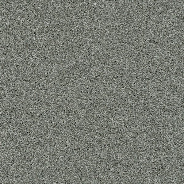 Engineered Floors 8 in. x 8 in. Texture Carpet Sample-Cinderella Soft ...