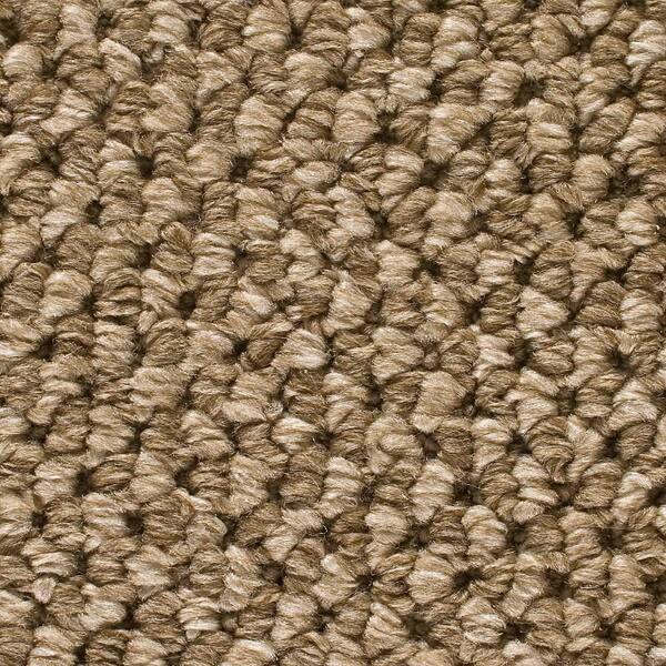 Home Decorators Collection 8 in. x 8 in. Berber Carpet Sample - Sutton ...