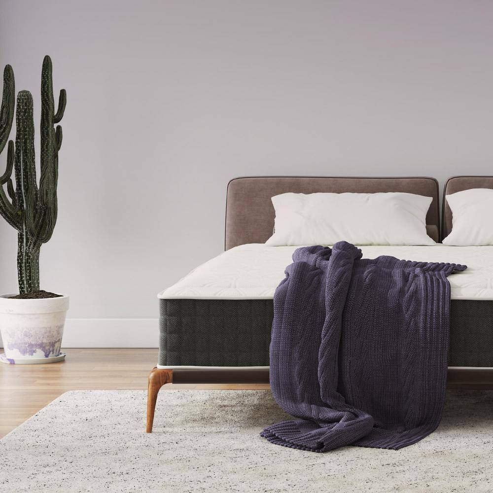 Signature Sleep Contour Comfort 12" Medium-Firm Independently Encased ...