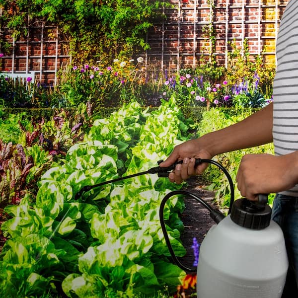 Spectracide Malathion Insect Spray Concentrate 16fl Oz